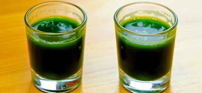 4 All-Natural Immunity Shots for Well-Being | HUM Nutrition Blog