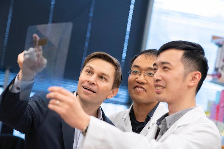 Meet Dr. David Sinclair, Harvard’s Anti-Aging & Longevity Expert | HUM ...