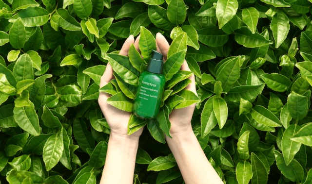 5 Green Tea Benefits for Skin & How to Use It | HUM Nutrition Blog