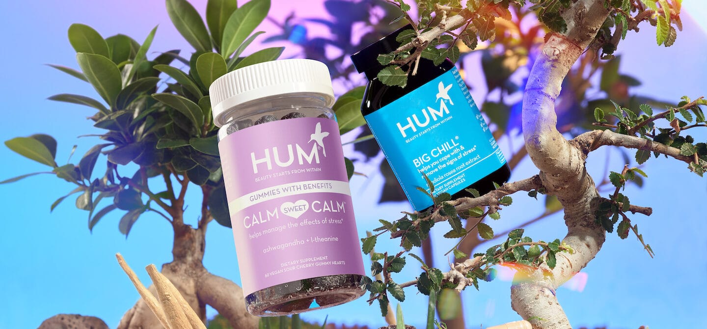 5 Super Simple Yet Highly Effective Mental Health Tips | HUM Nutrition Blog