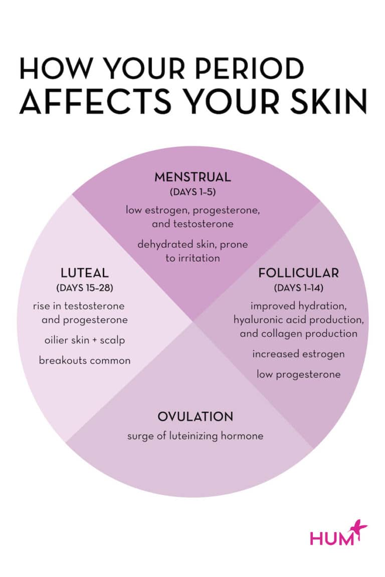 How Hormones Affect Your Skin In Your 20s, 30s, 40s, And Beyond| HUM ...