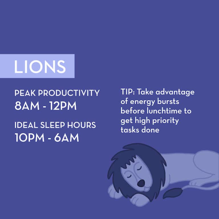 Sleep Chronotypes: Learn What Your Sleep Personality Says About You ...