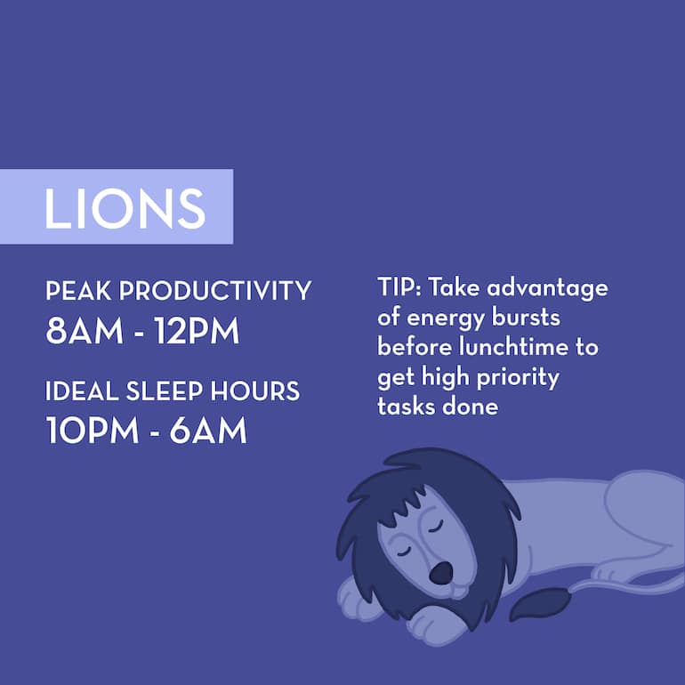 Sleep Chronotypes Learn What Your Sleep Personality Says About You