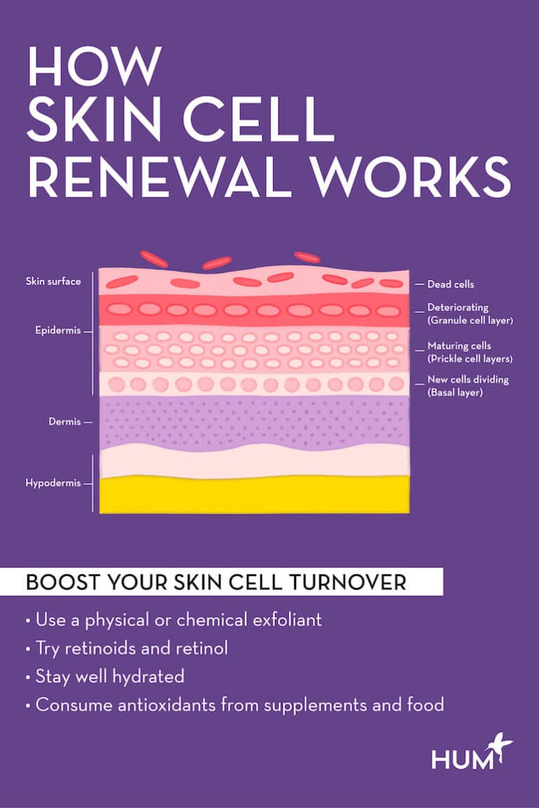 How to Increase Skin Cell Turnover Rate for Fresh, Glowing Skin | HUM ...