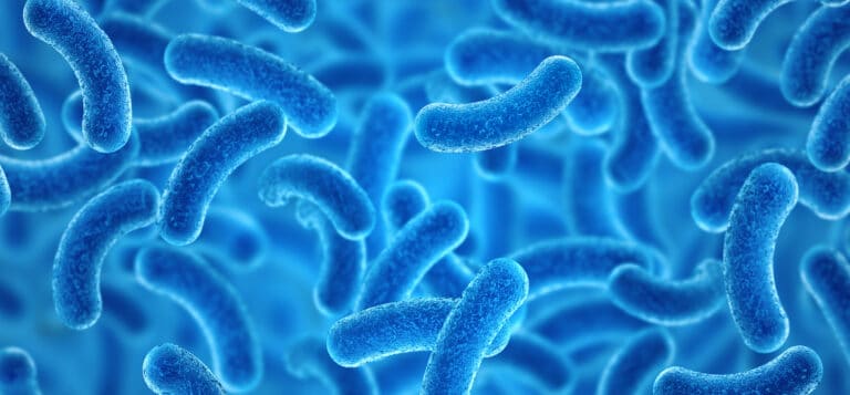 What Are Postbiotics? Examples, Benefits, Foods, and More | HUM ...