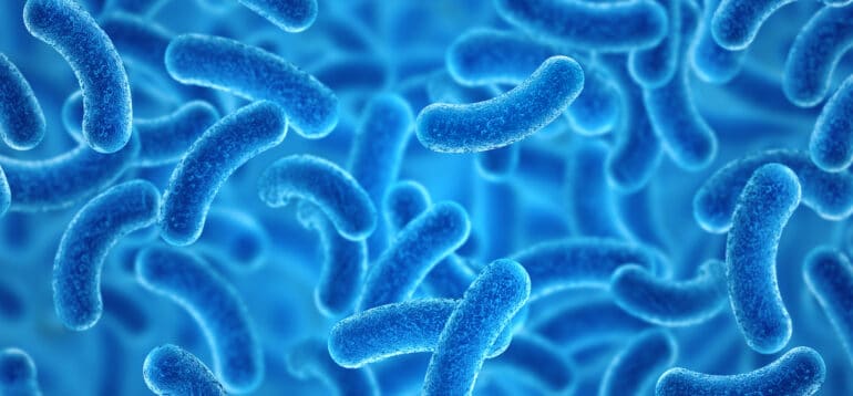 What Are Postbiotics? Examples, Benefits, Foods, and More | HUM ...