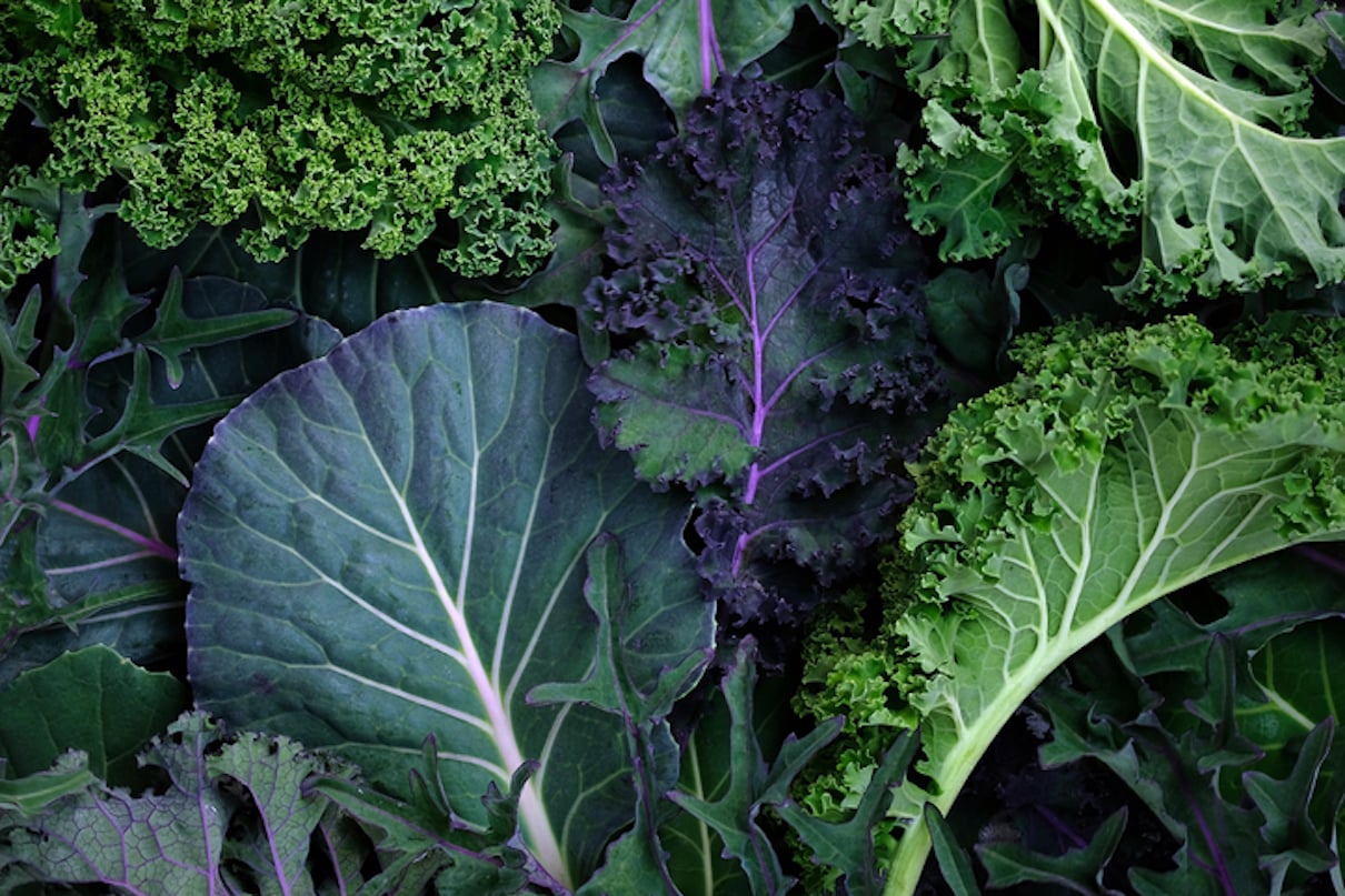 The Link Between Greens and Skin Health | HUM Nutrition Blog